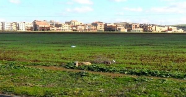 Ressources en eau : la nappe de la Mitidja menacée par la pollution ...