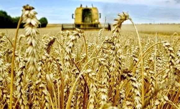 Les prix mondiaux des céréales et produits laitiers en hausse