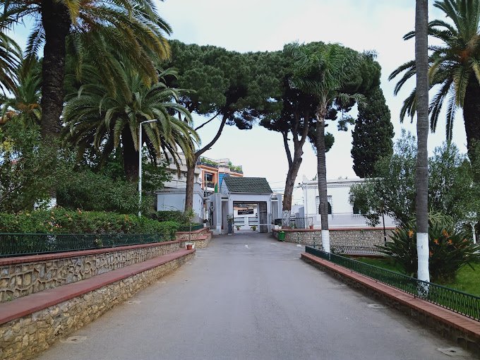 ENA : ouverture de nouvelles spécialités | Algerie Eco