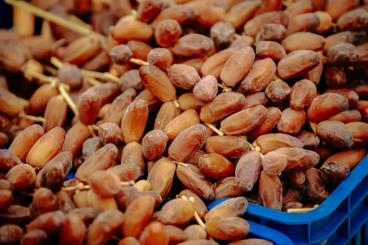 Salon international des dattes : une diversité de variétés au cœur du ...